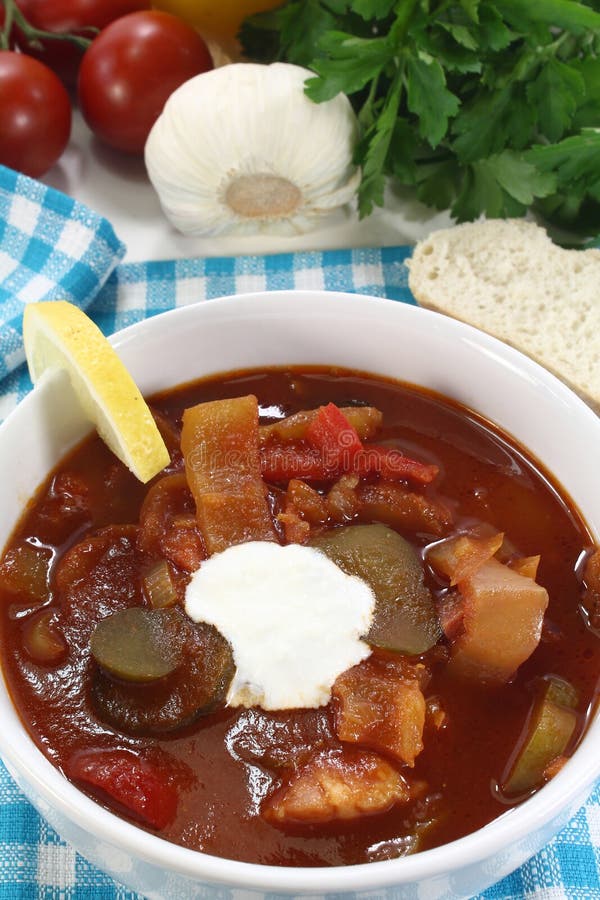 Solyanka stock image. Image of meat, cuisine, bread, soup - 25449971