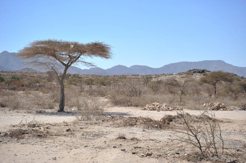 Somali ladscape stock image. Image of cisomalia, blue - 39949595