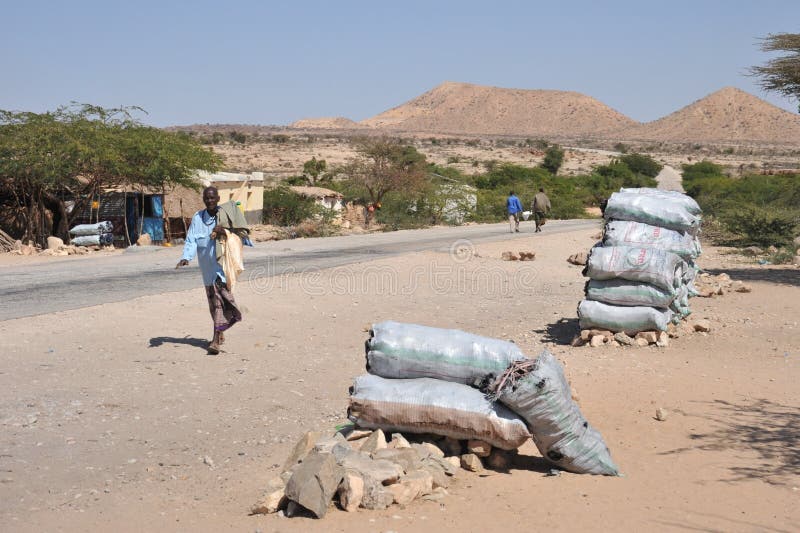 Somali landscape editorial image. Image of tree, stone - 31700565