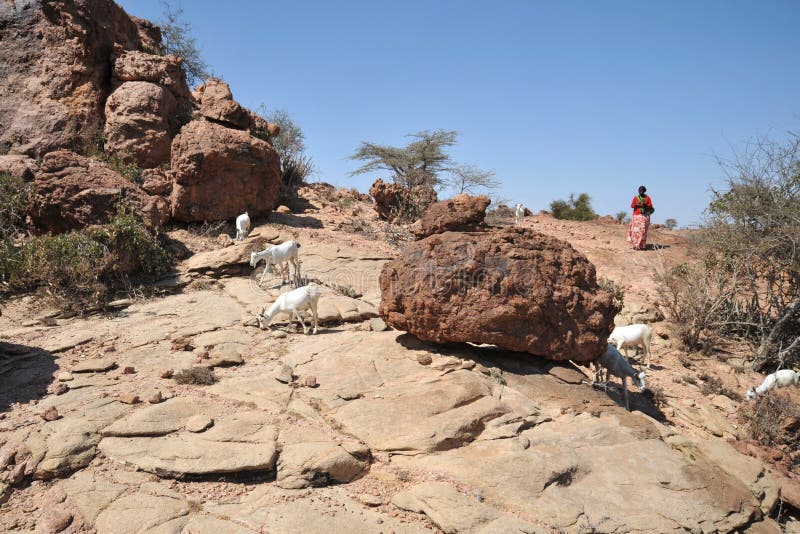 Somalia, Las Geel editorial image. Image of desert, stone - 30547545