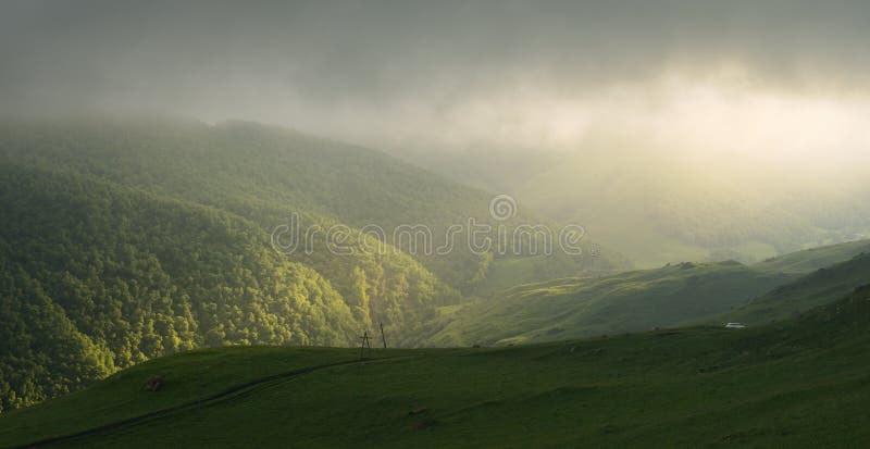 Somber evening stock photo. Image of forest, leisure - 57615504