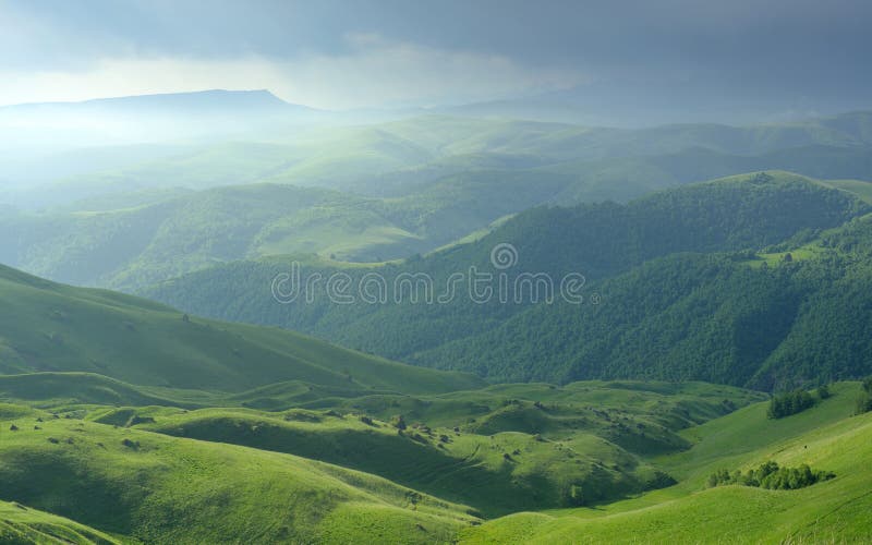 Somber morning stock photo. Image of forest, morning - 55945716