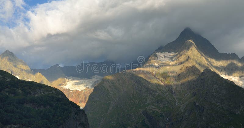 Somber morning stock photo. Image of forest, morning - 55945716