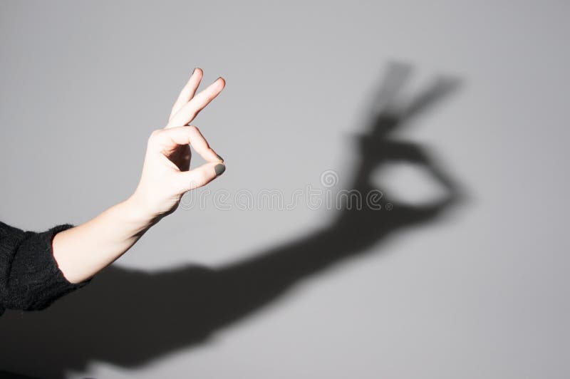 Sombra del conejo foto de archivo. Imagen de manos, apuntar - 56410976