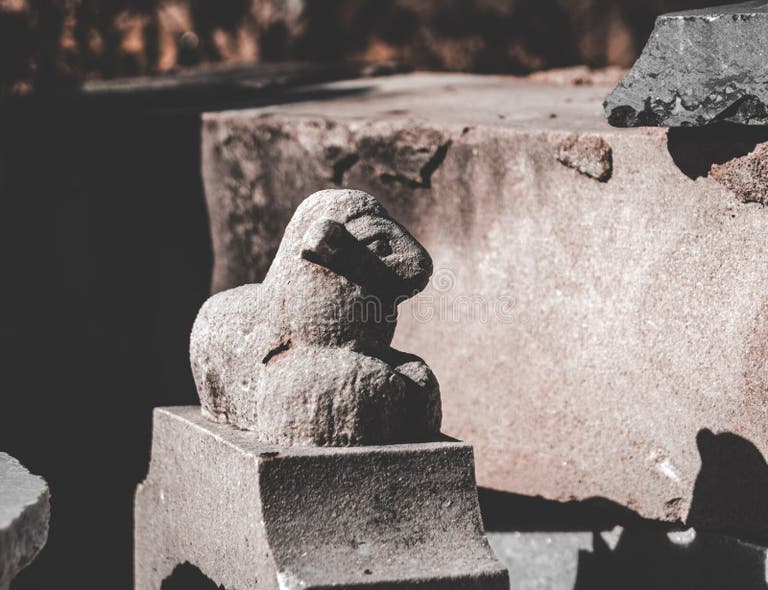 Sombra del cordero foto de archivo. Imagen de sombra - 307312530