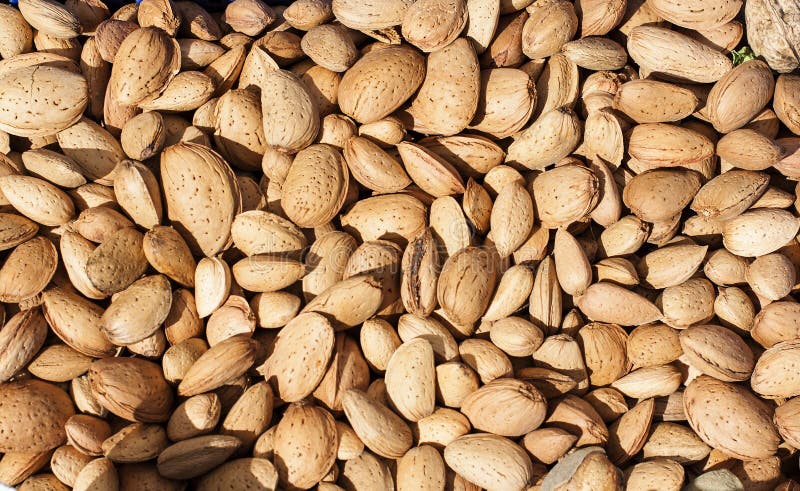 Some Almonds at Street Market Stock Photo - Image of food, nutshell ...