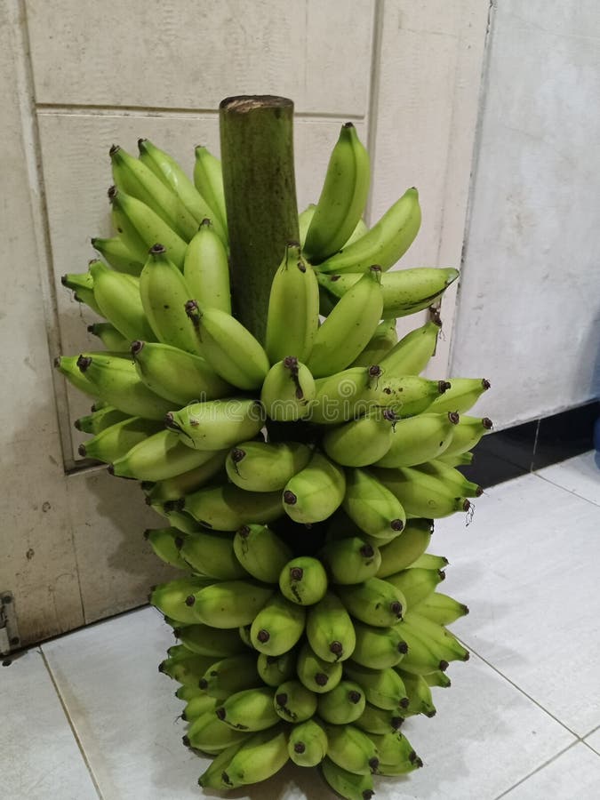 Some Bananas Not Ripe Green Stock Photos - Free & Royalty-Free Stock ...