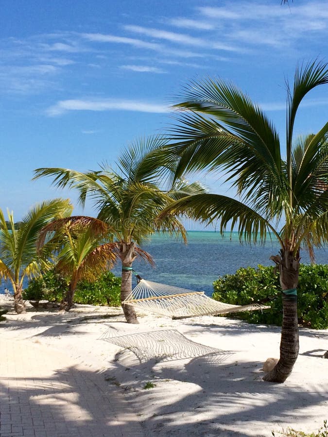 Some Beach stock photo. Image of largo, beach, private - 97966426