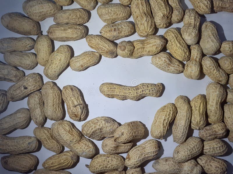 Some Beans and One Bean in the Middle Stock Photo - Image of bean ...