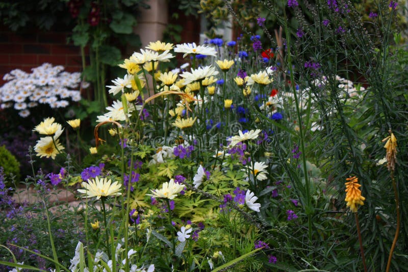 Some Beautiful Pretty Plants in a Garden Environment Stock Photo ...