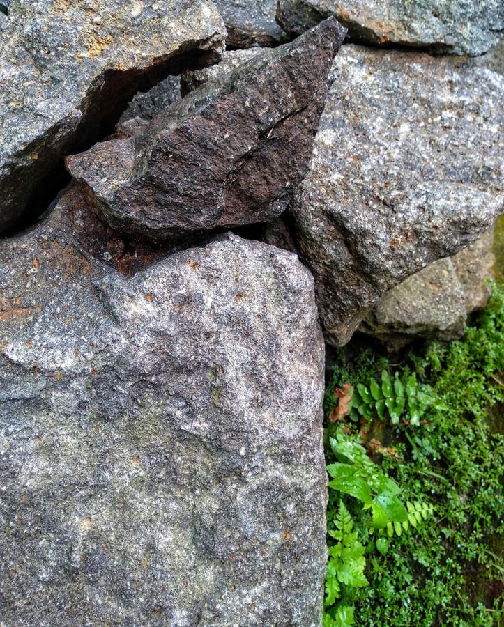 Some Big Rocks and Little Plants Stock Image - Image of rocks, plants ...