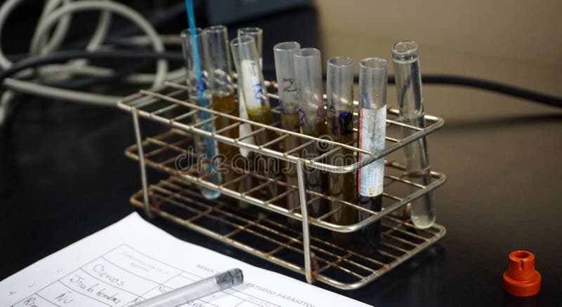 Laboratory tubes stock image. Image of rest, tray, laboratory - 98581083