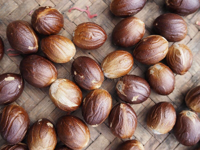 Dry Brown Nutmeg on Grey Wood Stock Image - Image of close, flavour ...
