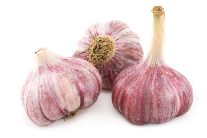 Garlic bulb with spices stock photo. Image of condiment - 18301792