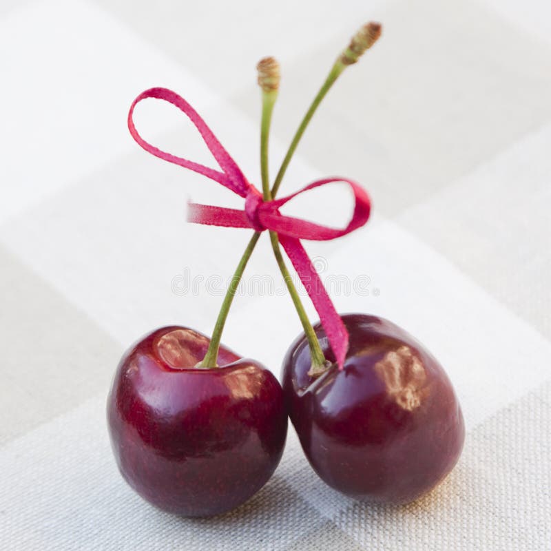 Some cherries stock photo. Image of harvesting, festive - 39499884