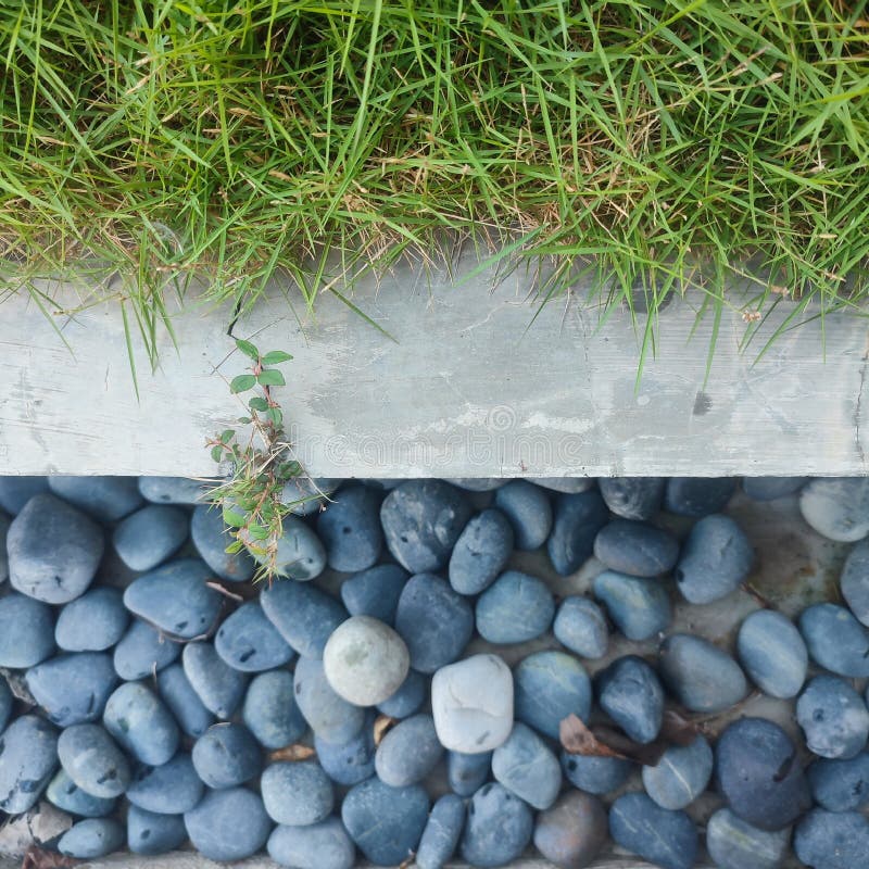 Grasi Ilustrasi Stock Photos - Free & Royalty-Free Stock Photos from ...