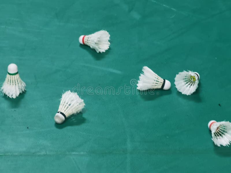 Some of the Coke Lying after Being Used for Training Stock Image ...