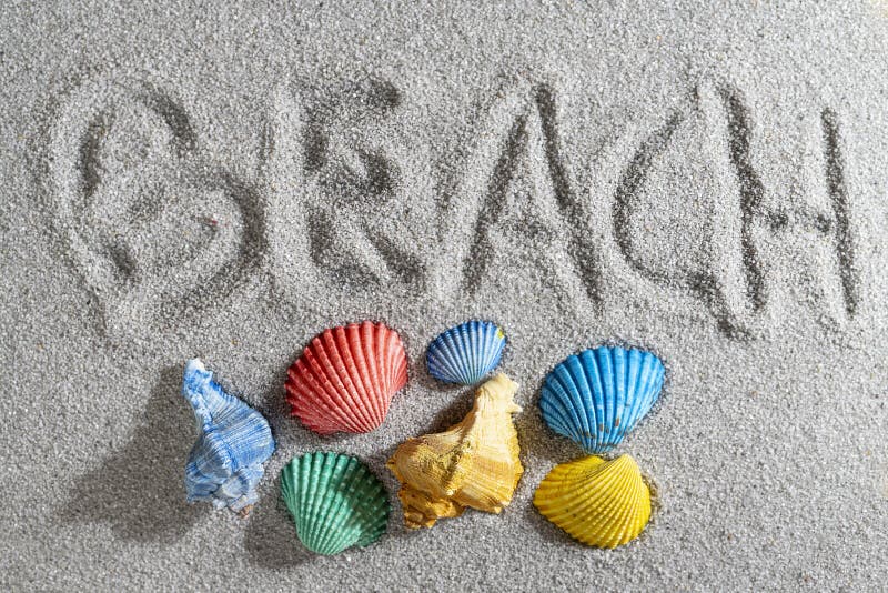 Colorful shells stock image. Image of beach, blue, light - 249051385