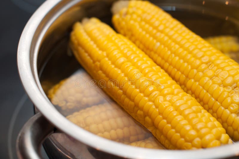 Some Corn Boiled in Hot Water Stock Image - Image of water ...