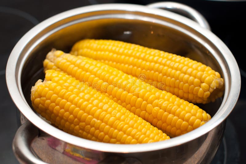 Some Corn Boiled in Hot Water Stock Image - Image of salt, boiled: 50602561