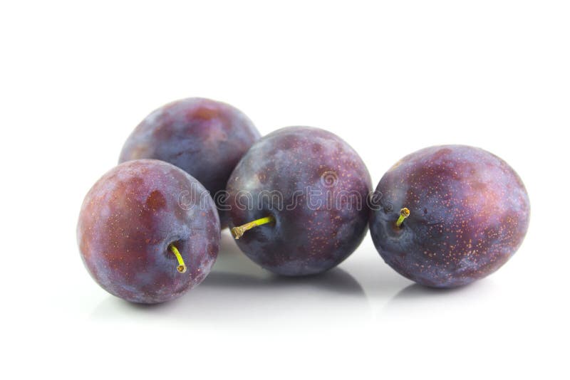 Some Plums on White Background Stock Image - Image of plant, purple ...