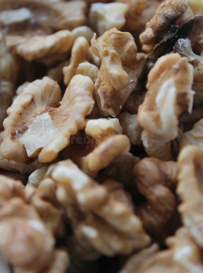 Walnuts stock image. Image of kitchen, food, shadow, plant - 12174671