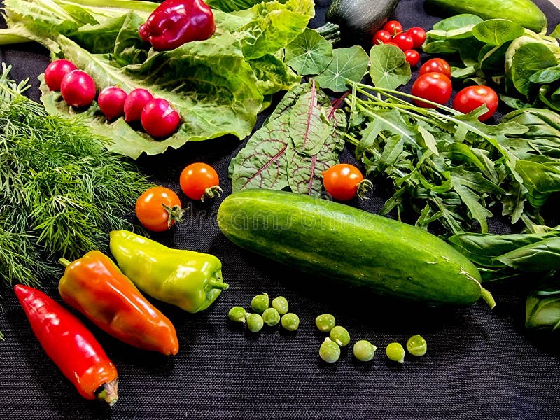 Some different vegetables stock photo. Image of creamy - 259280664