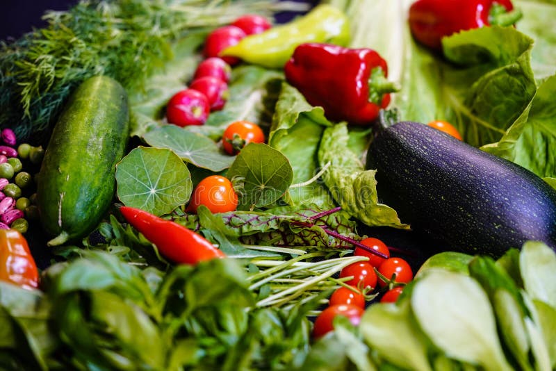 Some different vegetables stock photo. Image of cucumber - 259280682