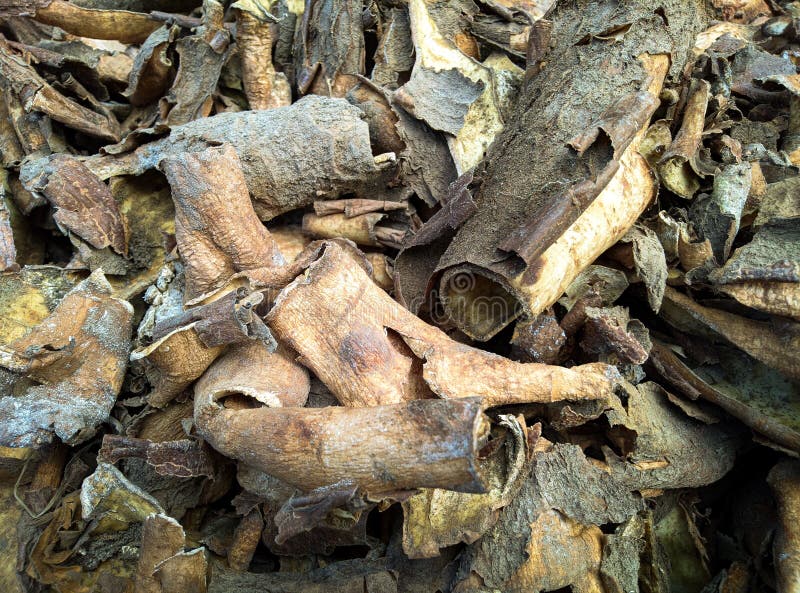 Dried cassava stock photo. Image of origin, diner, foodstuffs - 35586434