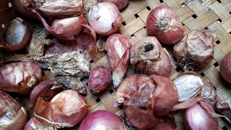 Some Dry and Nearly Rotten Shallots in the Wicker Basket Stock Image ...