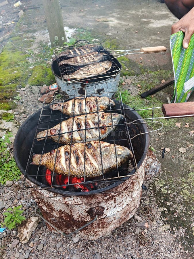 Some Fish are Being Grilled Over Hot Coals Using Iron Tongs in an Open ...