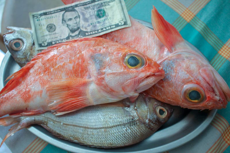 Some Fish and a Five Dollar Note Stock Image - Image of healthy, liquid ...