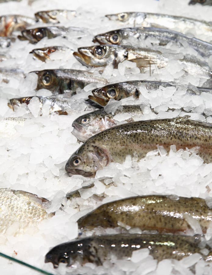 Some fish in ice stock photo. Image of healthy, nutrition - 27298380