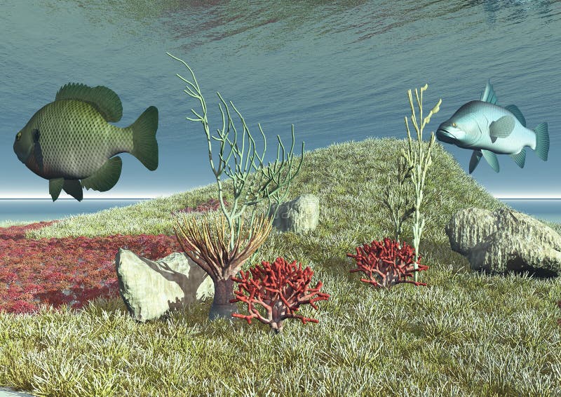 Some Fish Swim Near the Reef Stock Illustration - Illustration of ocean ...