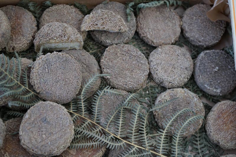 Cheese shape cube stock image. Image of organic, gourmet - 99974299