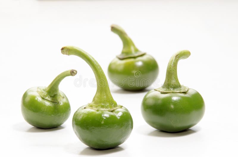 Some Fresh Organic Green Cherry Pepper Stock Image - Image of ...