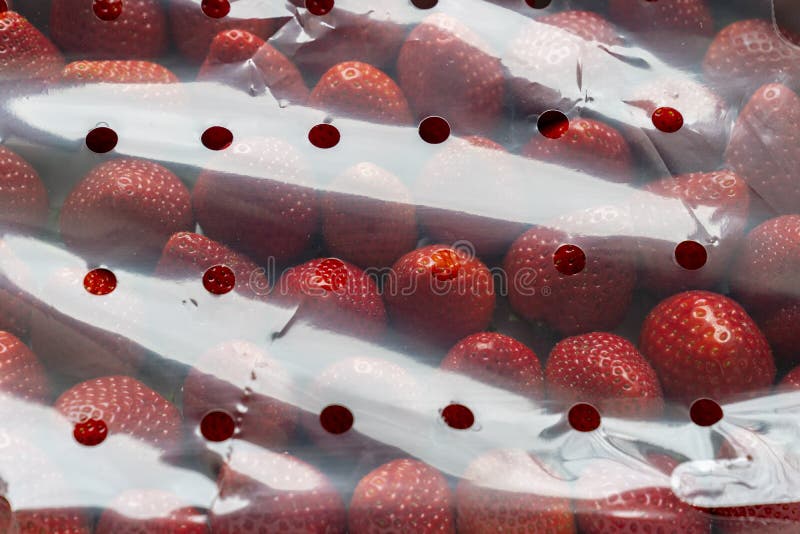 Some Fresh Packaged Strawberries Stock Image - Image of berry, heap ...