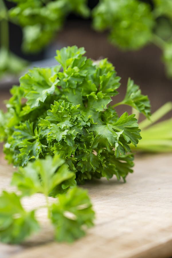 Some Fresh Parsley (close-up Shot) Stock Photo - Image of nature, fresh ...