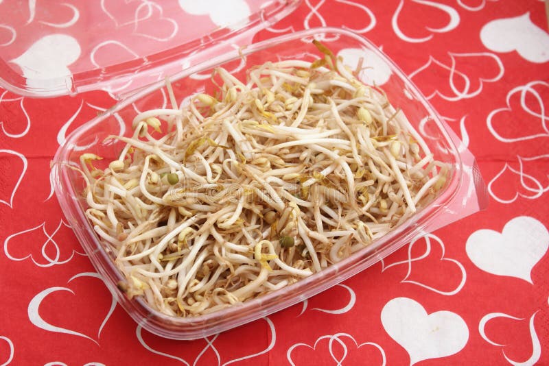 Sprouts stock photo. Image of snack, sprouts, beans, chinese - 99065256