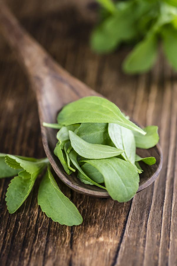 Some Fresh Stevia Leaves (selective Focus) Stock Photo - Image of green ...