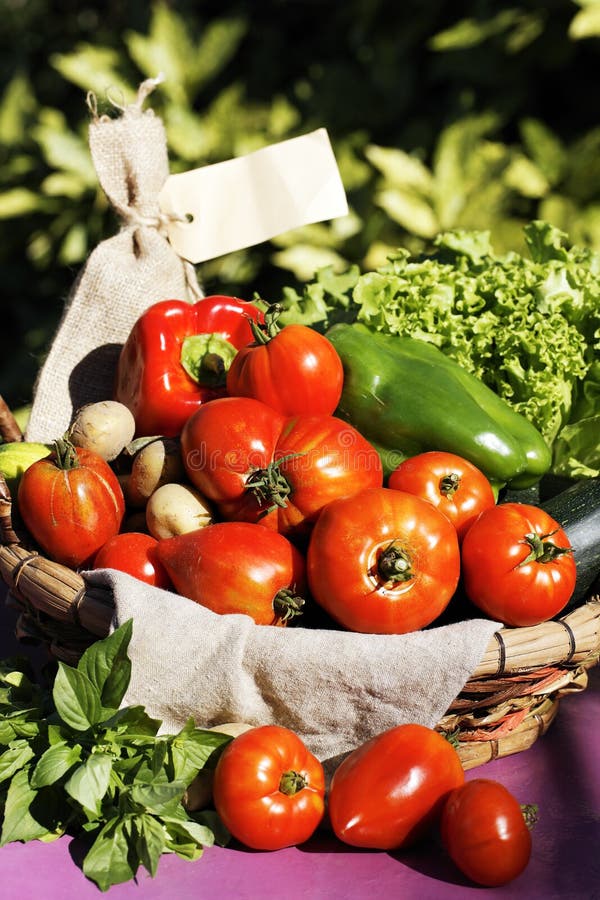 Some fresh vegetables stock photo. Image of potato, gardening - 26333708