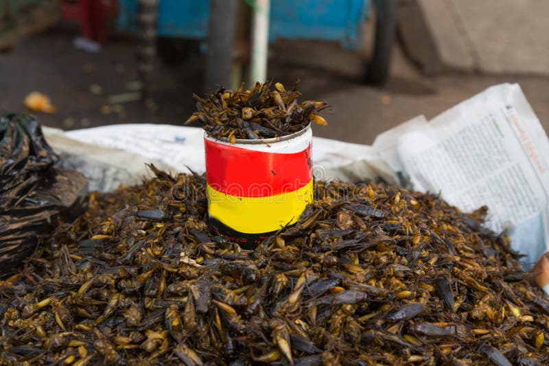 Some fried insect, Myanmar stock photo. Image of capital - 83133830
