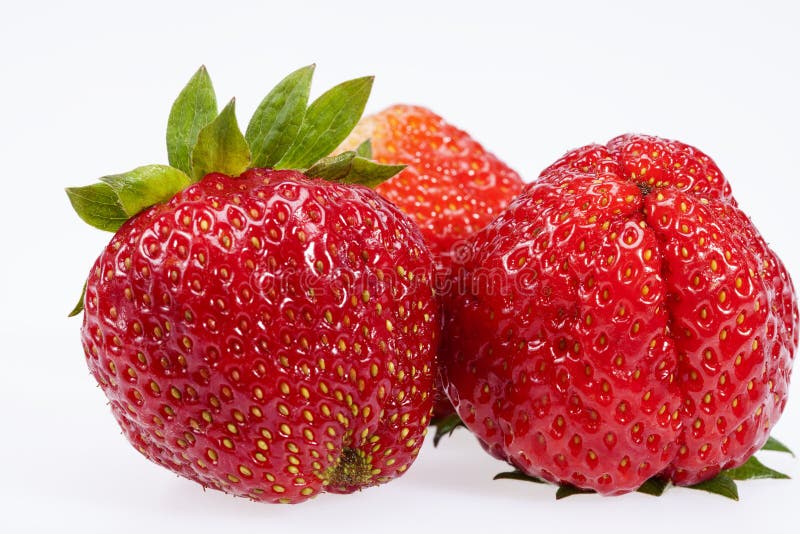 Some Fruits of Strawberry Isolated on White Background Stock Photo ...