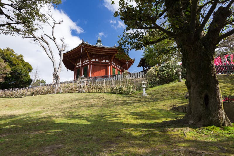 Exploring Nara stock photo. Image of asia, park, ancient - 122304942