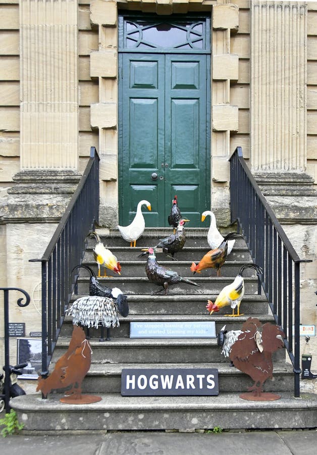 Geese by Stairs Outside a Building Stock Image - Image of wildlife ...