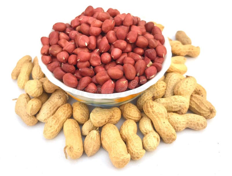 Groundnut and pods stock image. Image of pods, groundnut - 300457135
