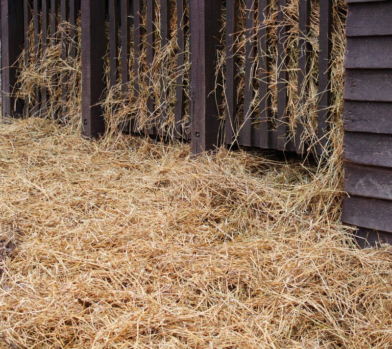Some hay in a barn stock image. Image of plants, yellow - 141896231