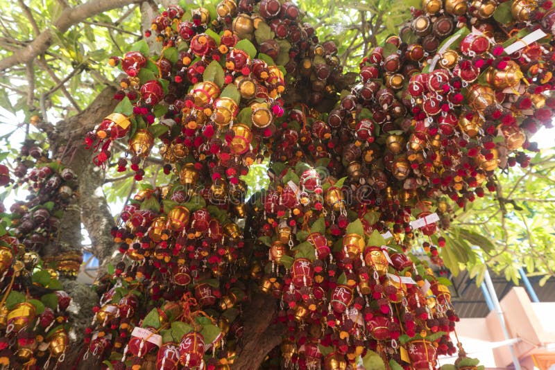 In Some Hindu Temples, Some Such Object is Placed on a Tree for the ...
