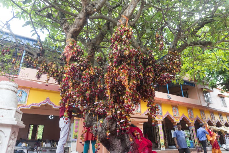 In Some Hindu Temples, Some Such Object is Placed on a Tree for the ...