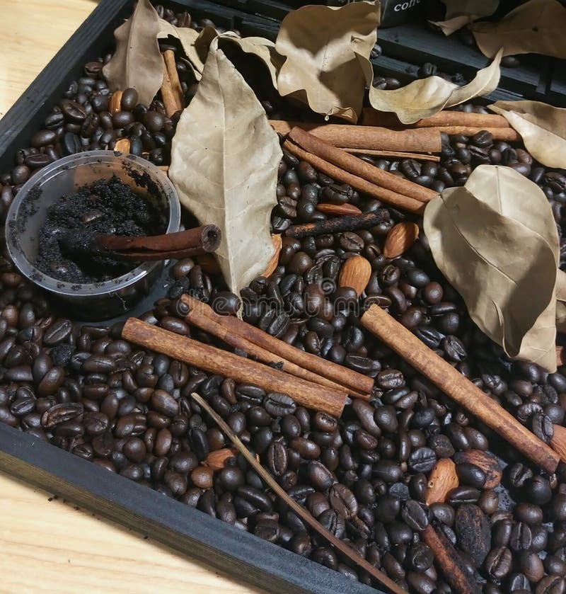 Local Coffee Bean Tenom, Sabah. Borneo, The Land Below The Wind. Stock ...